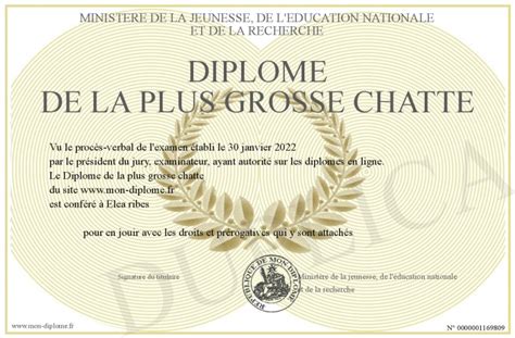 Diplome De La Plus Grosse Chatte