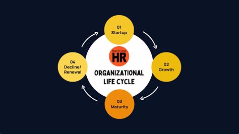 Understanding And Optimizing The Organizational Life Cycle