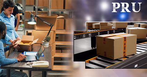 automated sorting systems increasing warehouse efficiency