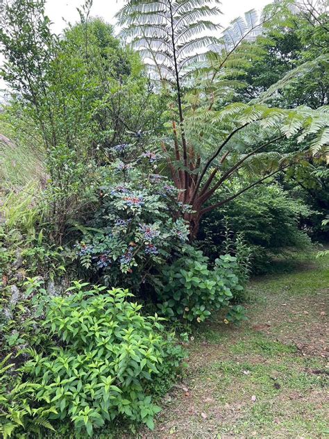 文茜的世界周報 Sisys World News 文茜的世界周報 Sisys World News