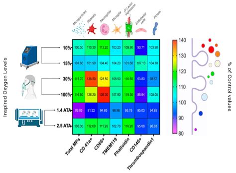 Oxygen Variations—insights Into Hypoxia Hyperoxia And Hyperbaric
