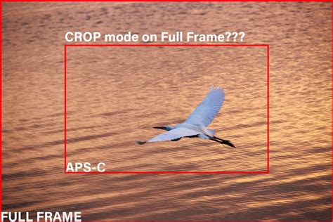 How To Use Crop Modes On Your Full Frame Digital Camera