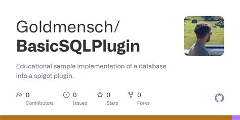 GitHub Goldmensch BasicSQLPlugin Educational Sample Implementation Of A Database Into A