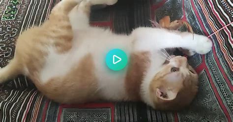 Shes 4 Years Old She Has No Teeth Shes Perfect Album On Imgur