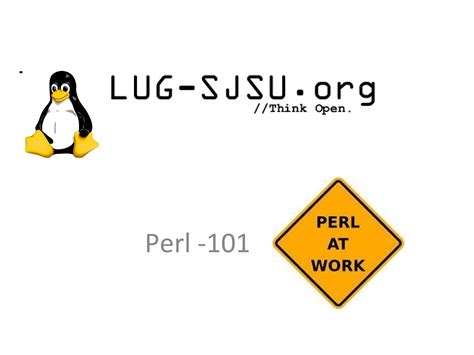 Perl 101 The Basics Of Perl Programming Ppt