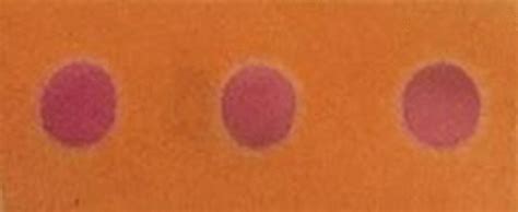 Colorimetric Image For Nitrate Determination In Ground Water Download Scientific Diagram