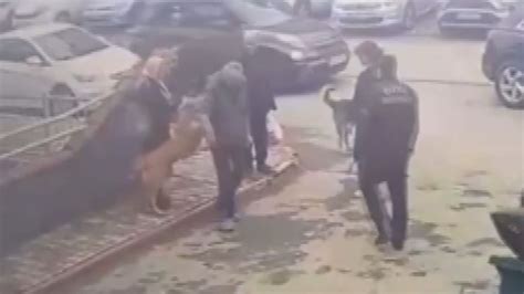Dereden kurtarılan köpeğin sevgi gösterisi yürekleri ısıttı Sözcü