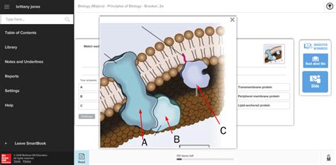 Biology Chapter Diagram Quizlet