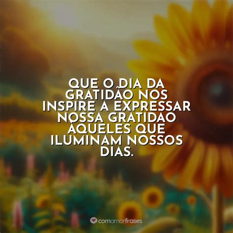 Frases do Dia da Gratidão Amor Frases