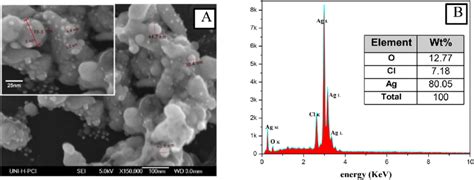 A Sem Image And B Edx Spectrum Of Biologically Synthesized Silver