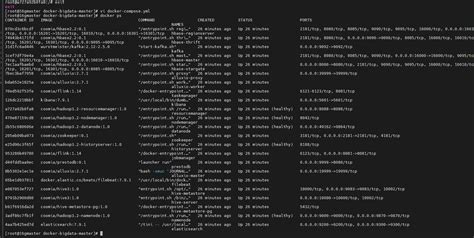 Github开源一站式大数据平台AllData CSDN博客