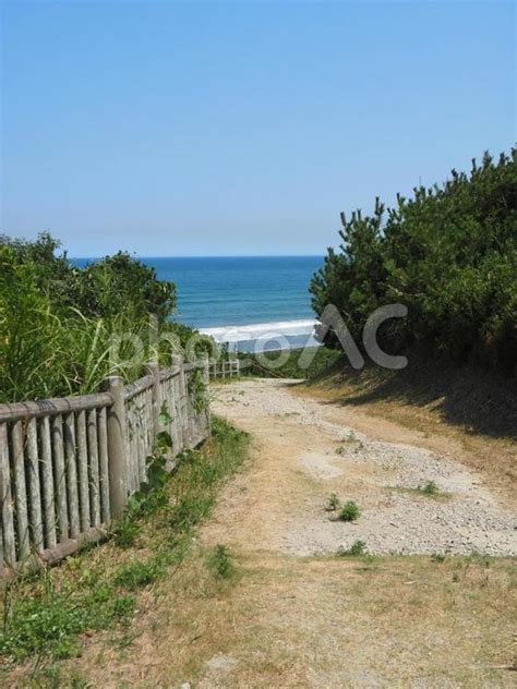 鹿島灘海浜公園の散歩道＆海・茨城県鉾田市 No 27434168｜写真素材なら「写真ac」無料（フリー）ダウンロードok