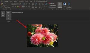 How To Insert Picture Graphics And Shapes In Outlook Email Body