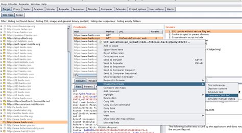 Burp Suite