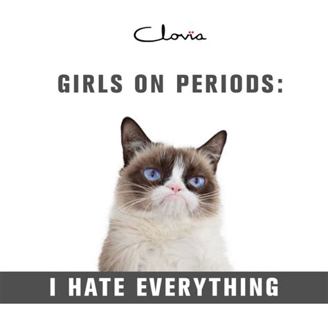 I Hate Everything Grumpy Cat