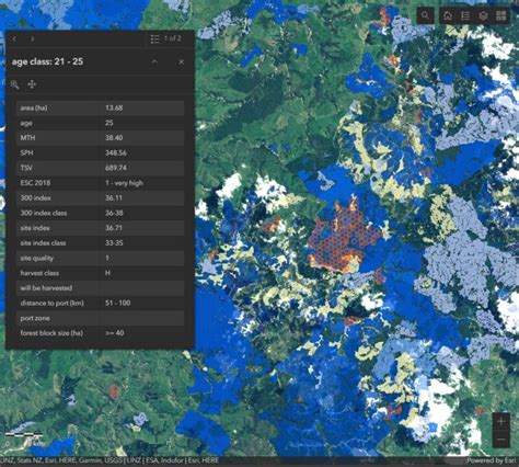 New AI Tool To Help Ease Forestry Management