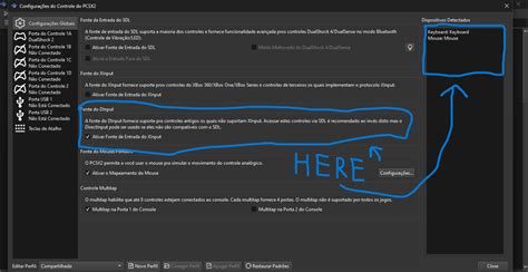 BUG When Starting The Program With A Playstation Control Adapter It Crashes Issue