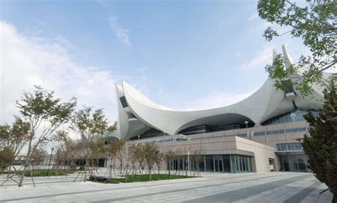 青岛高新区召开红岛站周边配套道路建设方案专家咨询会进行设计金融