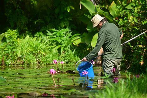 John Lui The Straits Times