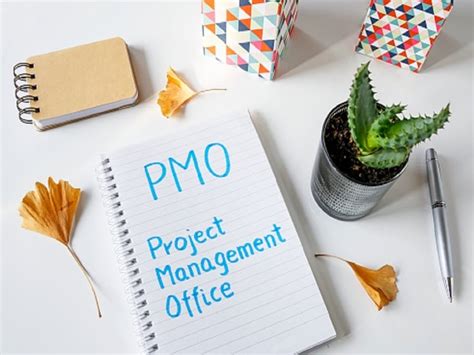 Project Management Office Pmo Implementation Plan Upwork