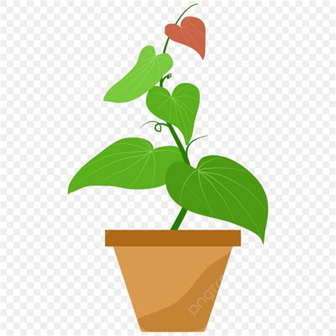 Gambar Clipart Tumbuhan Rumah Rumah Tumbuhan Potted Plant Png Hiasan