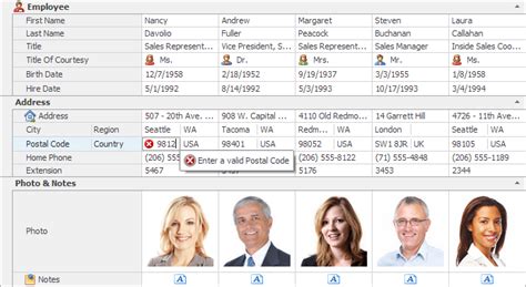 Validation Winforms Controls Devexpress Documentation