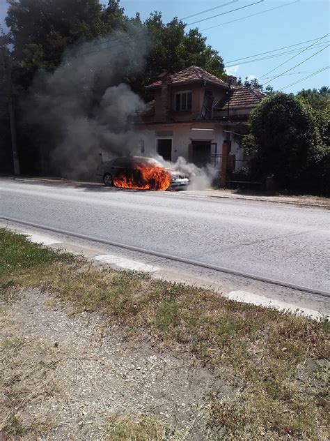 Вестник Луковитски новини