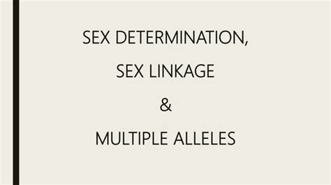 Sex Determination Sex Linkage And Multiple Allels Pptx