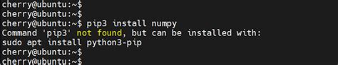 How To Install Pip On Ubuntu Step By Step Cherry Servers