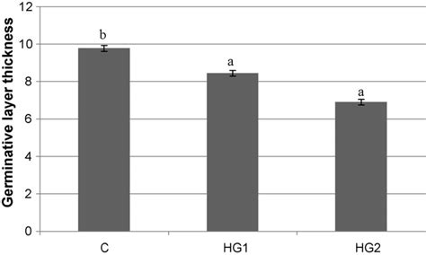 Germinative Cell Layer Thickness Of Seminiferous Tubules M In Testes