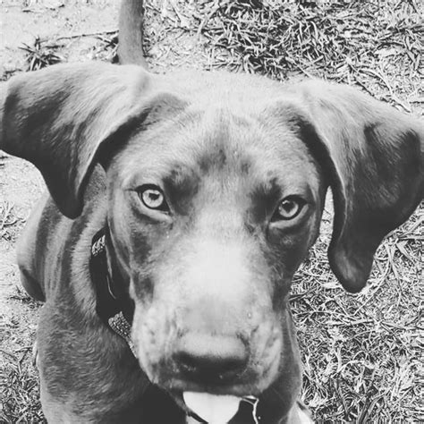 Elijahtrentolson On Threads