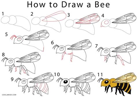 How To Draw A Honey Bee Step By Step Design Talk
