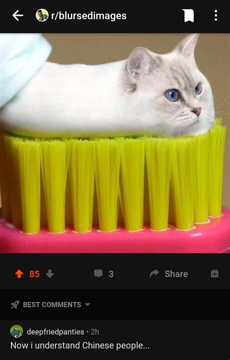 Cursed Toothpaste R Cursedcomments
