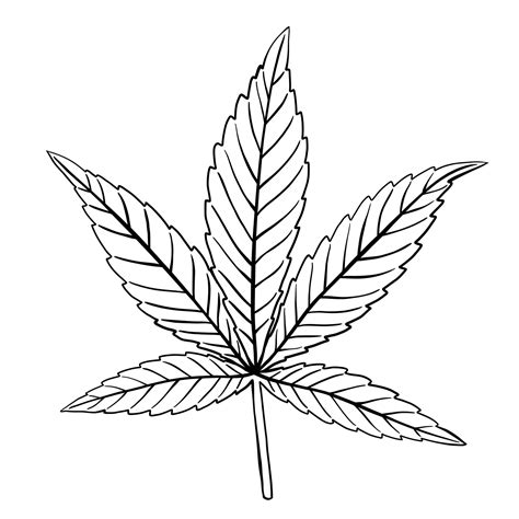 Simplicity Cannabis Leaf Freehand Drawing Flat Design 18907370 Vector