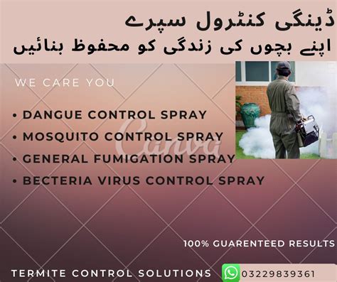 Termite Control Solutions Lahore