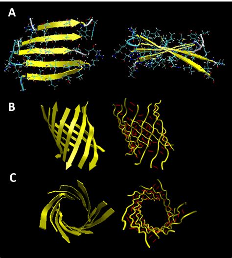 4 2 Protein Secondary Structure Biology Libretexts