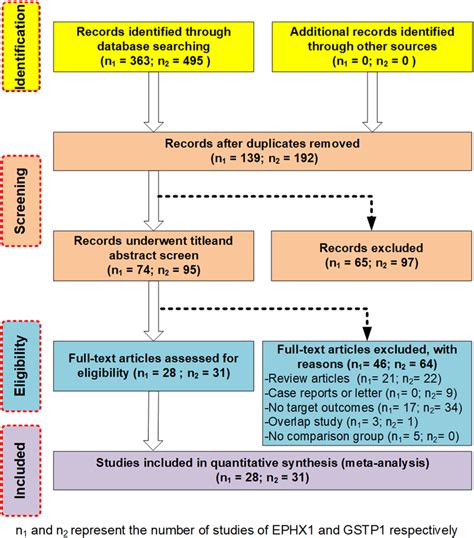 Schematic Presentation Of The Literature Screening Process Download
