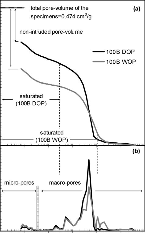 Pore Size Distribution Curves Of Low Compacted 100b Specimens
