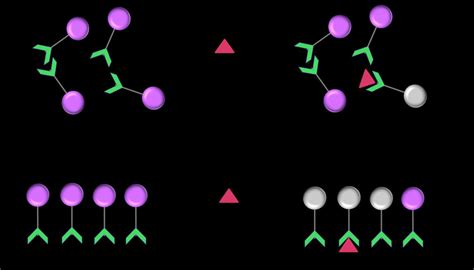 Illustration Of Molecular Wire Effect Phenomenon Observed Exclusively