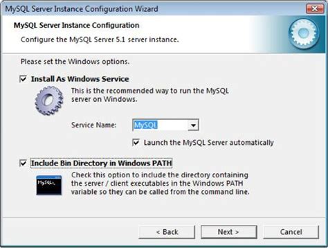 Installing Partuza On Windows Programming Social Applications Book