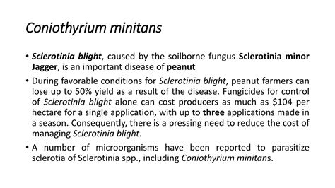 Role Of Fungi As Biocontrol Agents Pptx