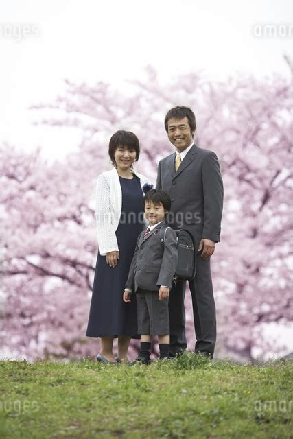 土手に立つ男の子と両親と桜の写真素材 FYI04058025 ストックフォトの Qlean Marketキュリンマーケット