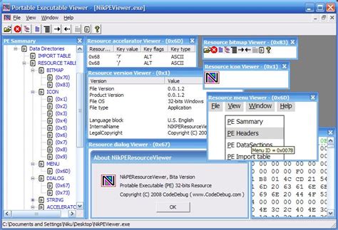 CodeDebug Bit Bit PE Resource Viewer