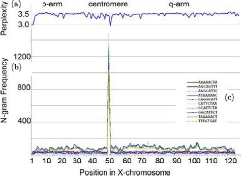 Analysis Of X Chromosome The X Axis Shows The Position In The