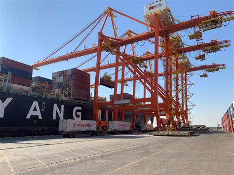 Marko Miskovic On Linkedin Yang Ming At Bgt Berth 25 Umm Qasr Port Iraq