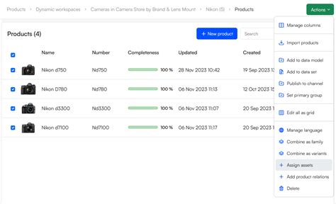 Managing Assets Dynamicweb 10 Developer Documentation