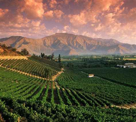 Argentina Buenos Aires And Mendoza — The Language House