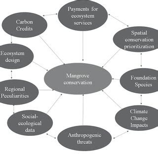 Schematic Representation Suggested For Better Management Of Mangroves