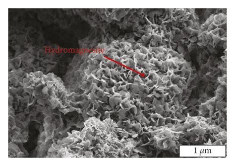 SEM Images Of Bio Carbonated RMC Based WDC Samples After 28 Days Of