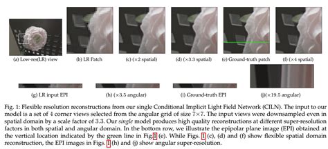 Light Field Implicit Representation For Flexible Resolution